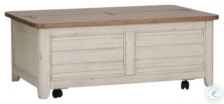 Farmhouse Reimagined Antique White Storage Trunk | HomeGalleryStores ...
